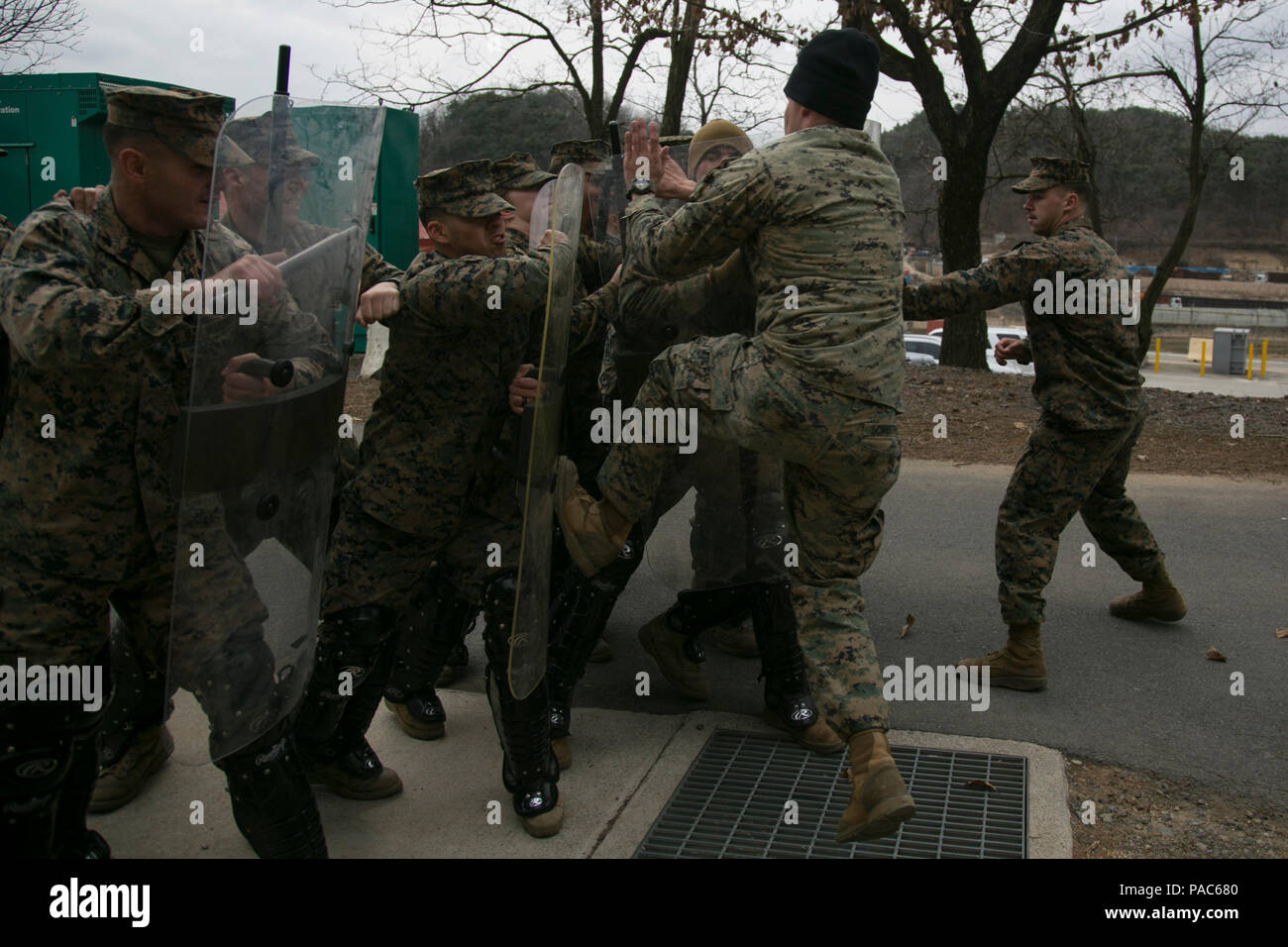 U.S. Marines with 3d Law Enforcement Battalion demonstrate riot control ...