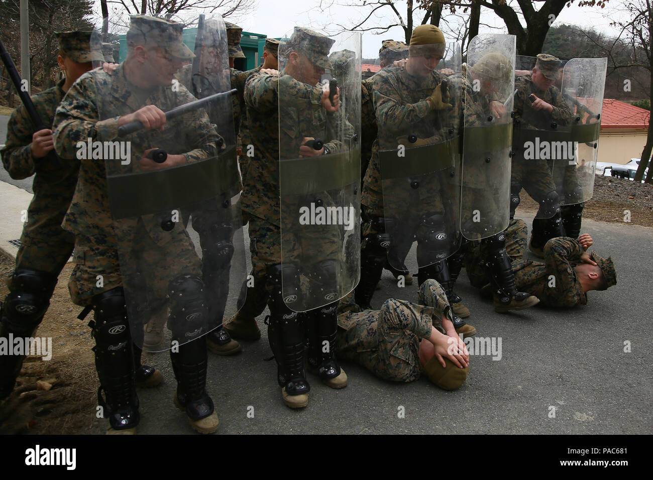 U.S. Marines with 3d Law Enforcement Battalion demonstrate riot control ...