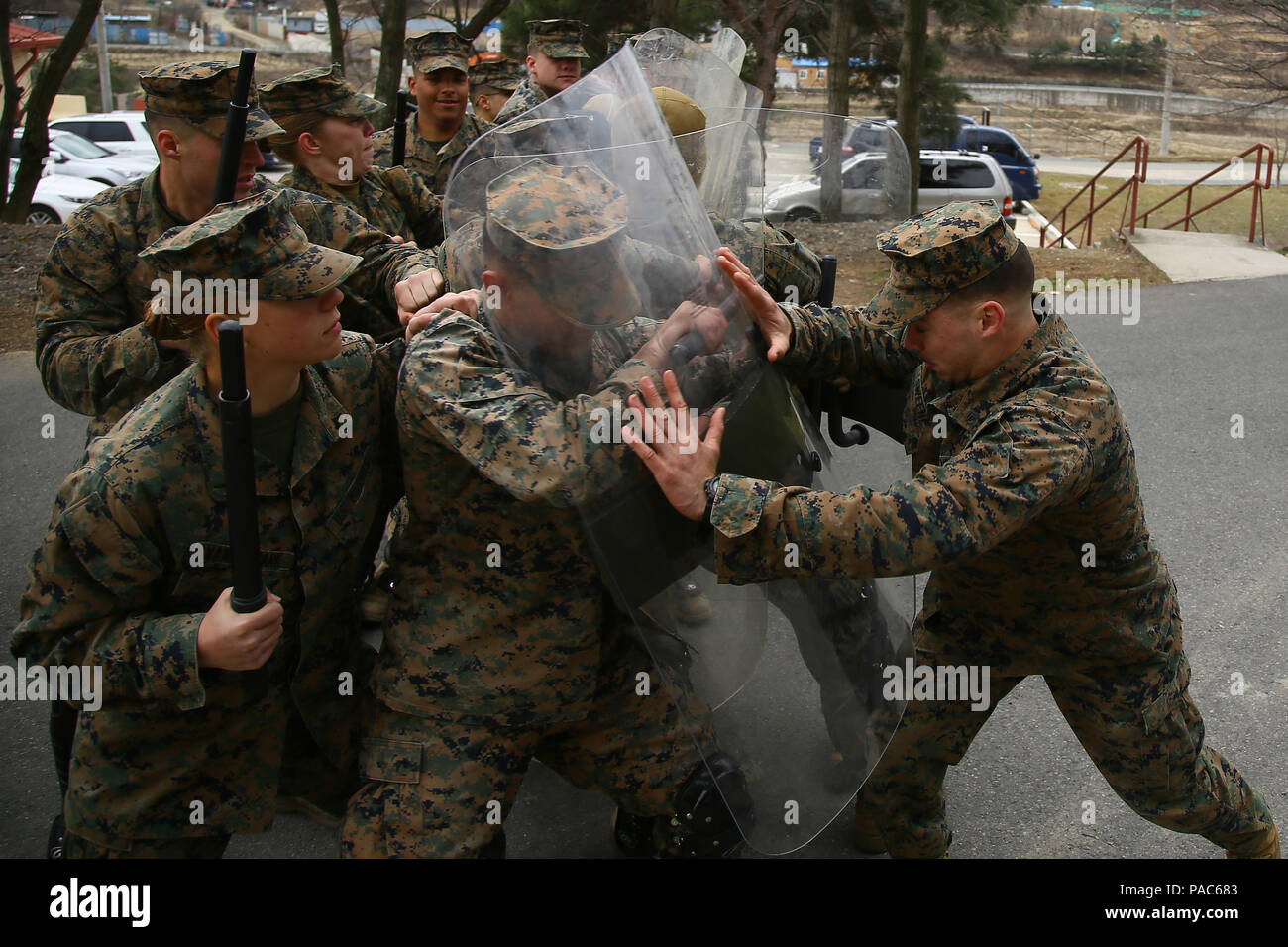 U.S. Marines with 3d Law Enforcement Battalion demonstrate riot control ...