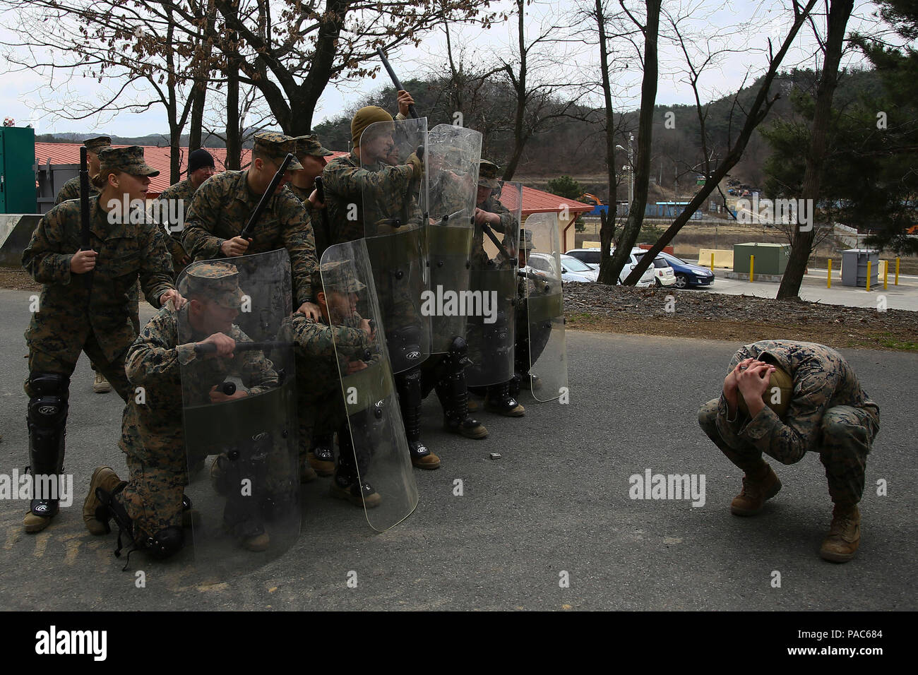 U.S. Marines with 3d Law Enforcement Battalion demonstrate riot control ...