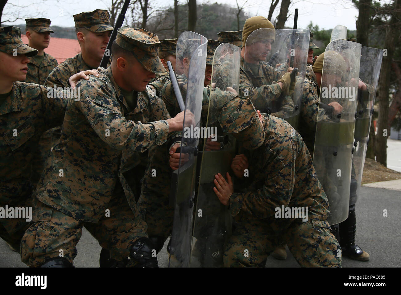 U.S. Marines with 3d Law Enforcement Battalion demonstrate riot control ...