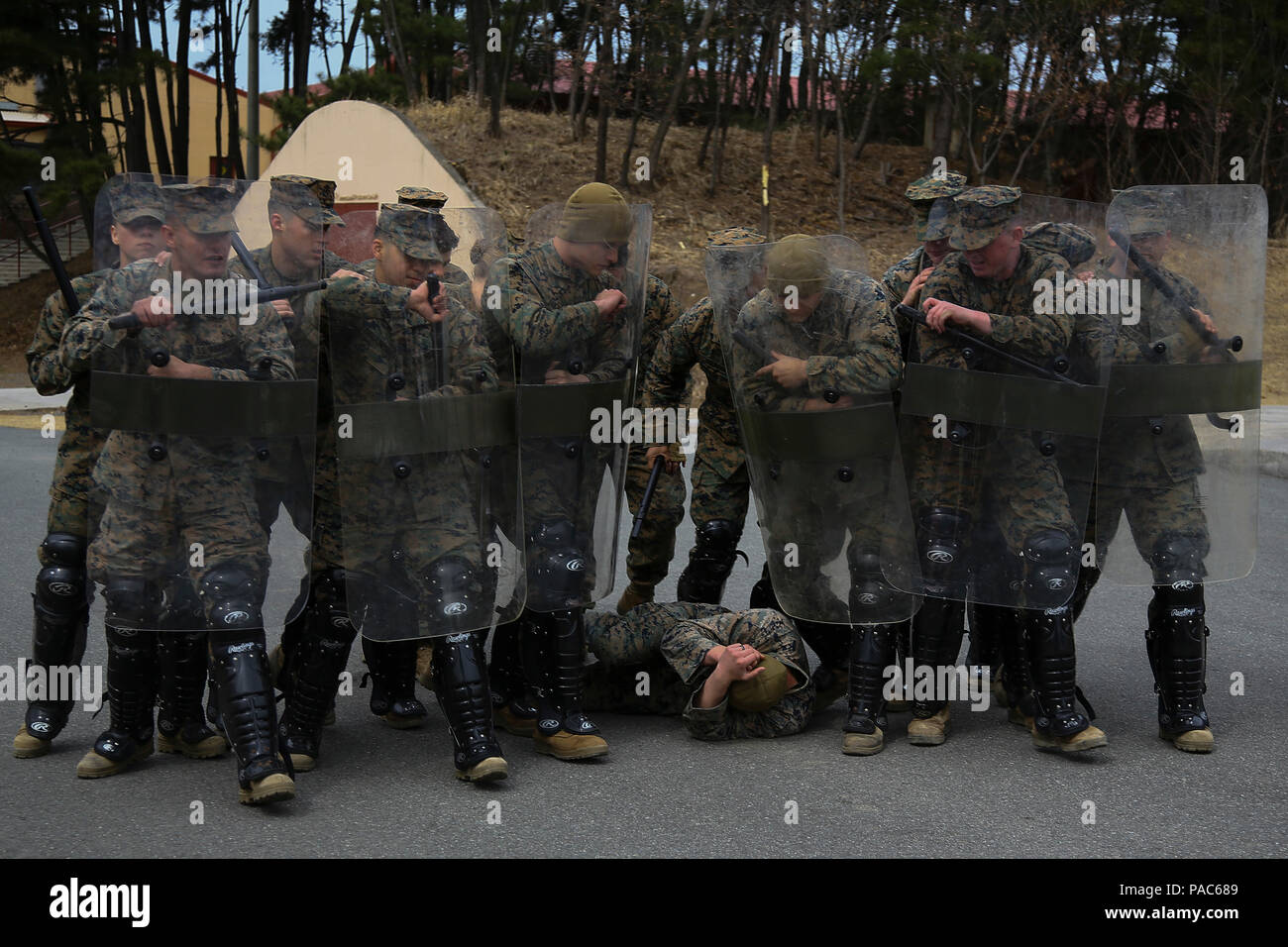 U.S. Marines with 3d Law Enforcement Battalion demonstrate riot control ...