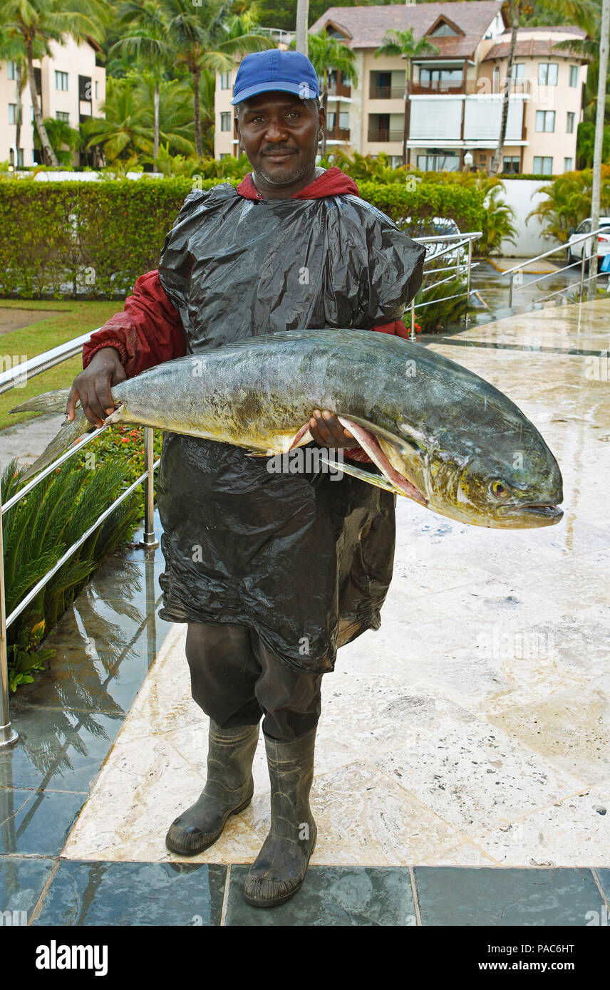 Gold years hi-res stock photography and images - Alamy