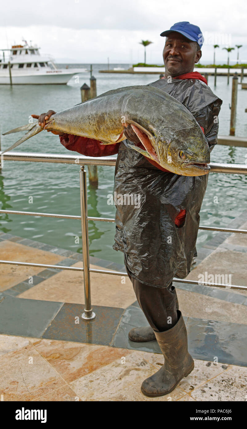 Gold years hi-res stock photography and images - Alamy