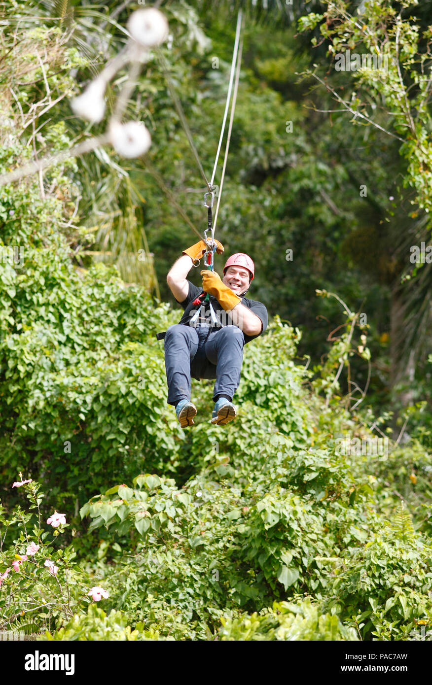 Man, 48 years old, riding a zip line through the jungle, Samaná ...
