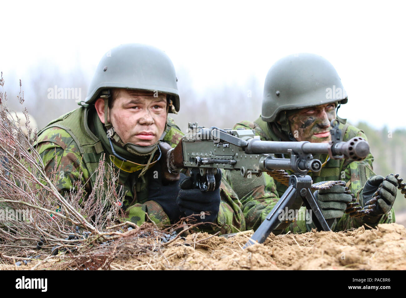 Lithuanian duke vaidotas mechanized infantry battalion hi-res stock ...