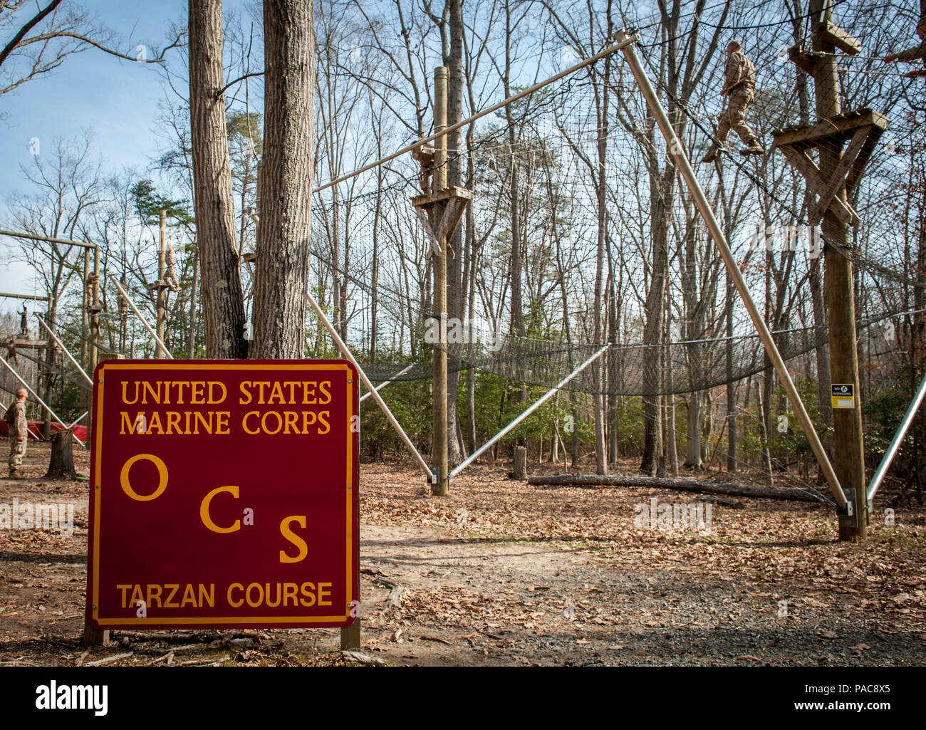 Tarzan swing hi-res stock photography and images - Alamy