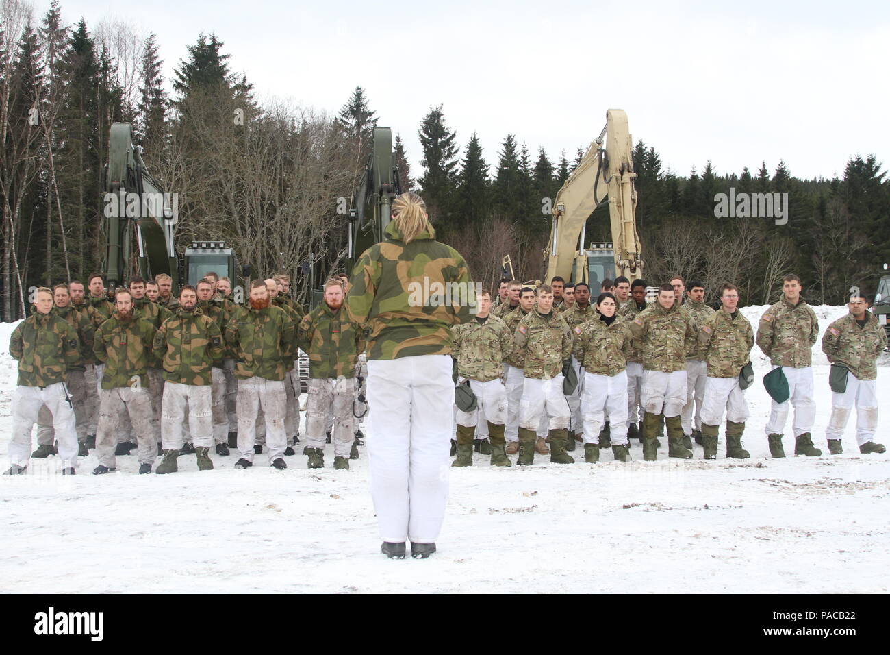 Norwegian Brigade Nord Engineer Battalion and 15th Engineer Battalion ...