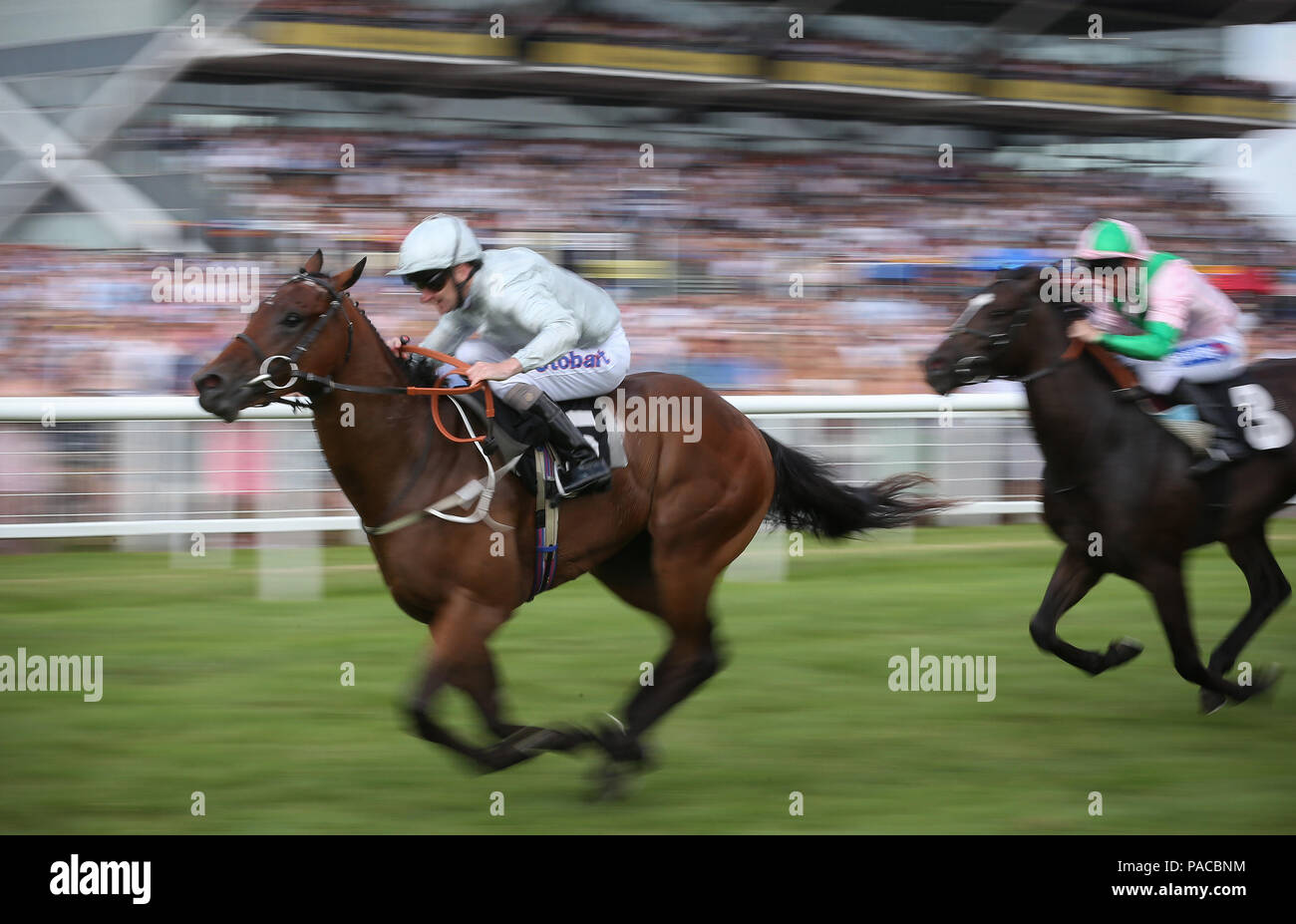 Indian run horse racing hi-res stock photography and images - Alamy