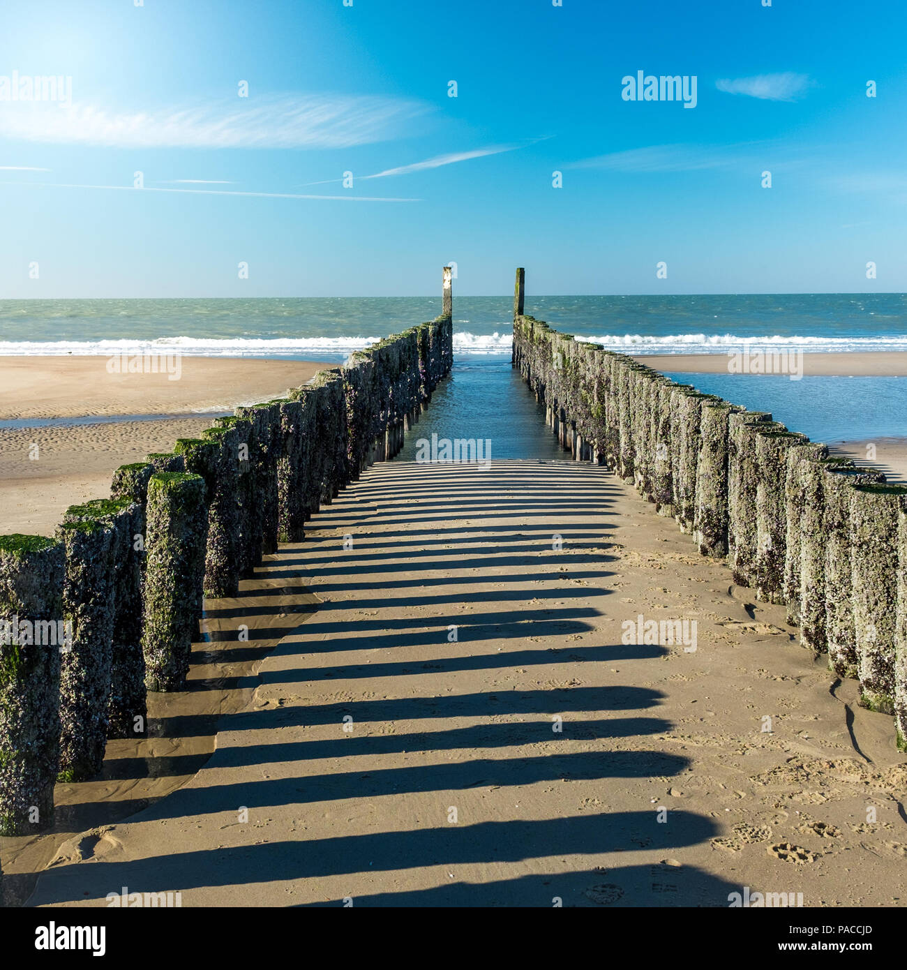 Beach poles on the beach of Domburg, the Netherlands Stock Photo - Alamy