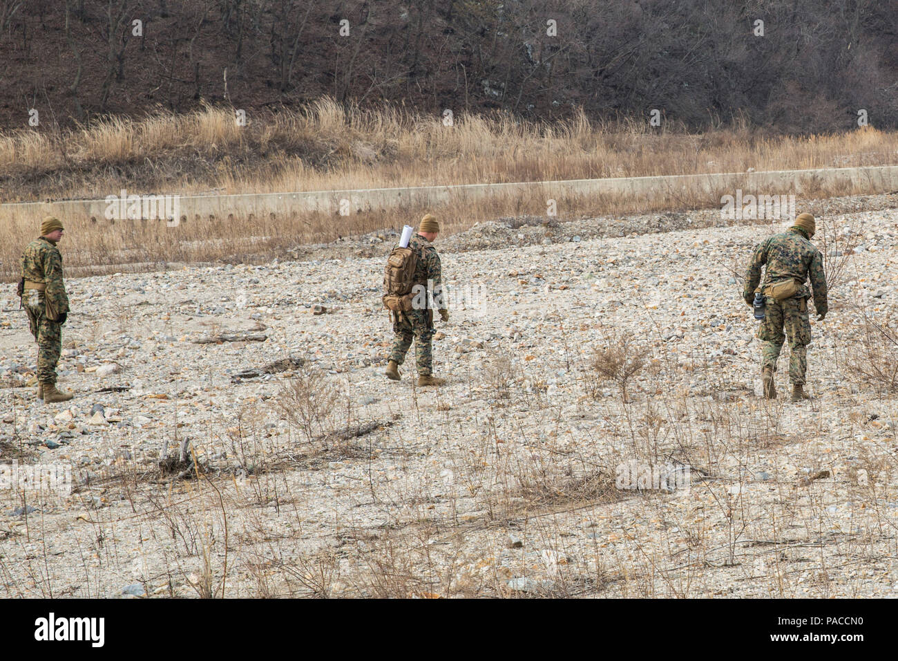 U.S. Marine explosive ordnance disposal technicians with the 13th ...