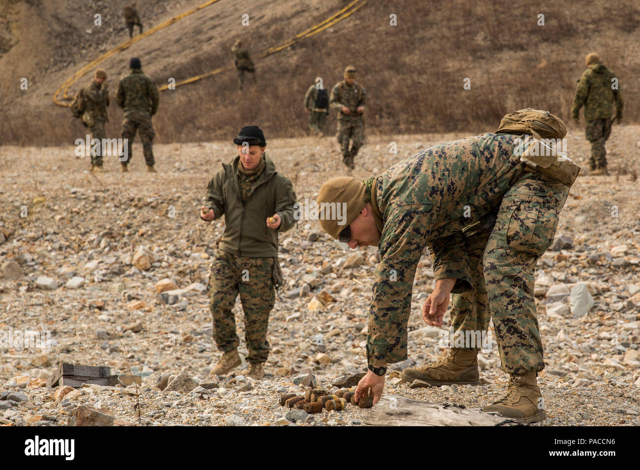 U.S. Marine explosive ordnance technicians with the 13th Marine ...
