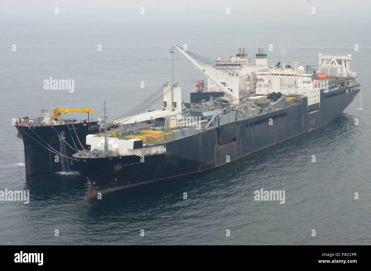 T esd 1 hi-res stock photography and images - Alamy