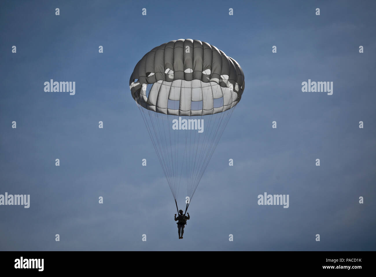 Reserve Paratrooper High Resolution Stock Photography and Images - Alamy