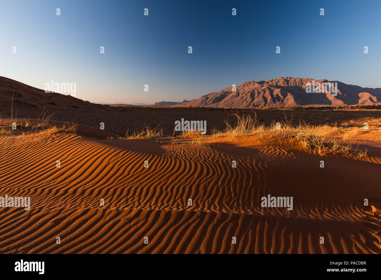 Red sand dunes in the Namib Desert with mountains in background Stock ...