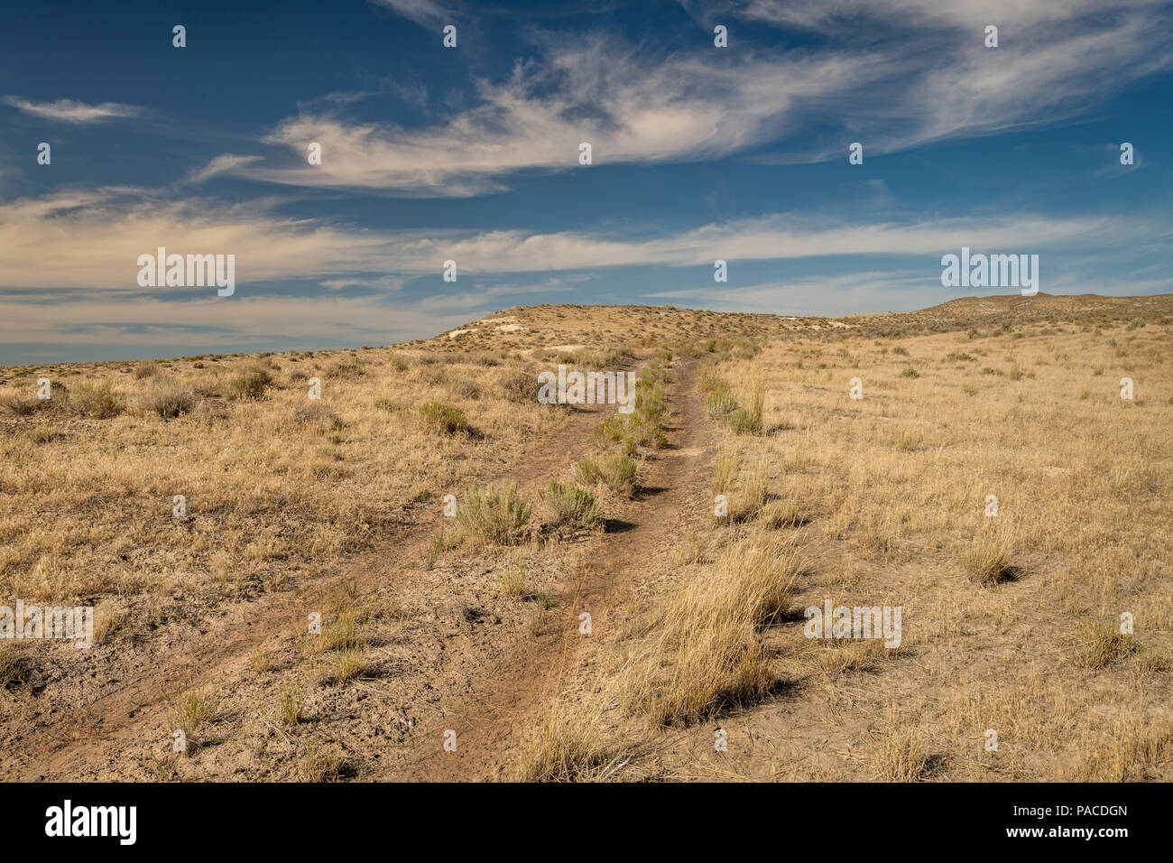 Desert sagebrush surrounds a two track dirt road as it leads through ...