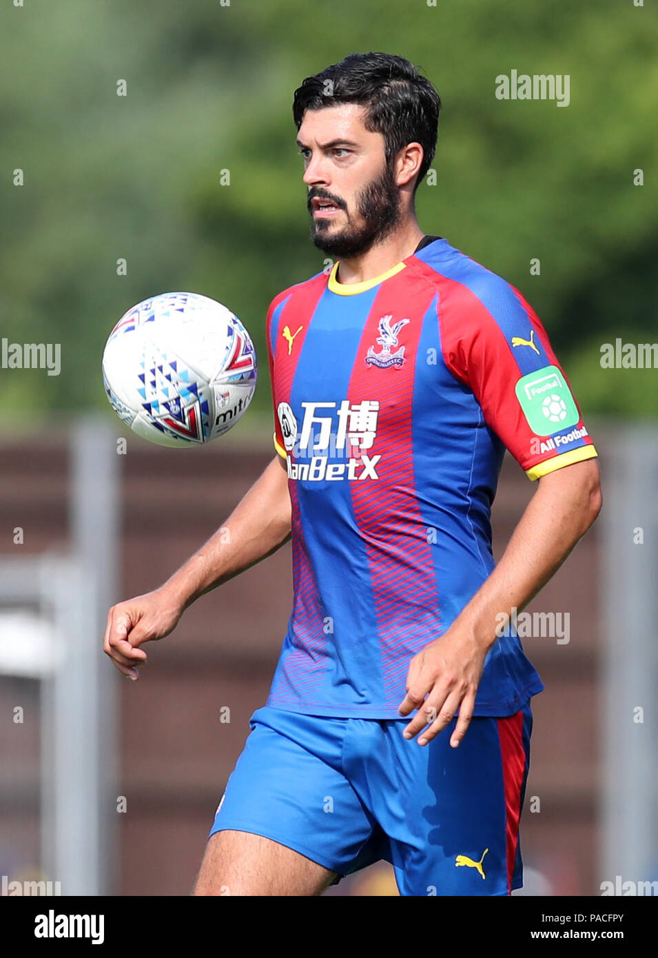 Crystal Palace's James Tomkins during a pre season friendly match at ...