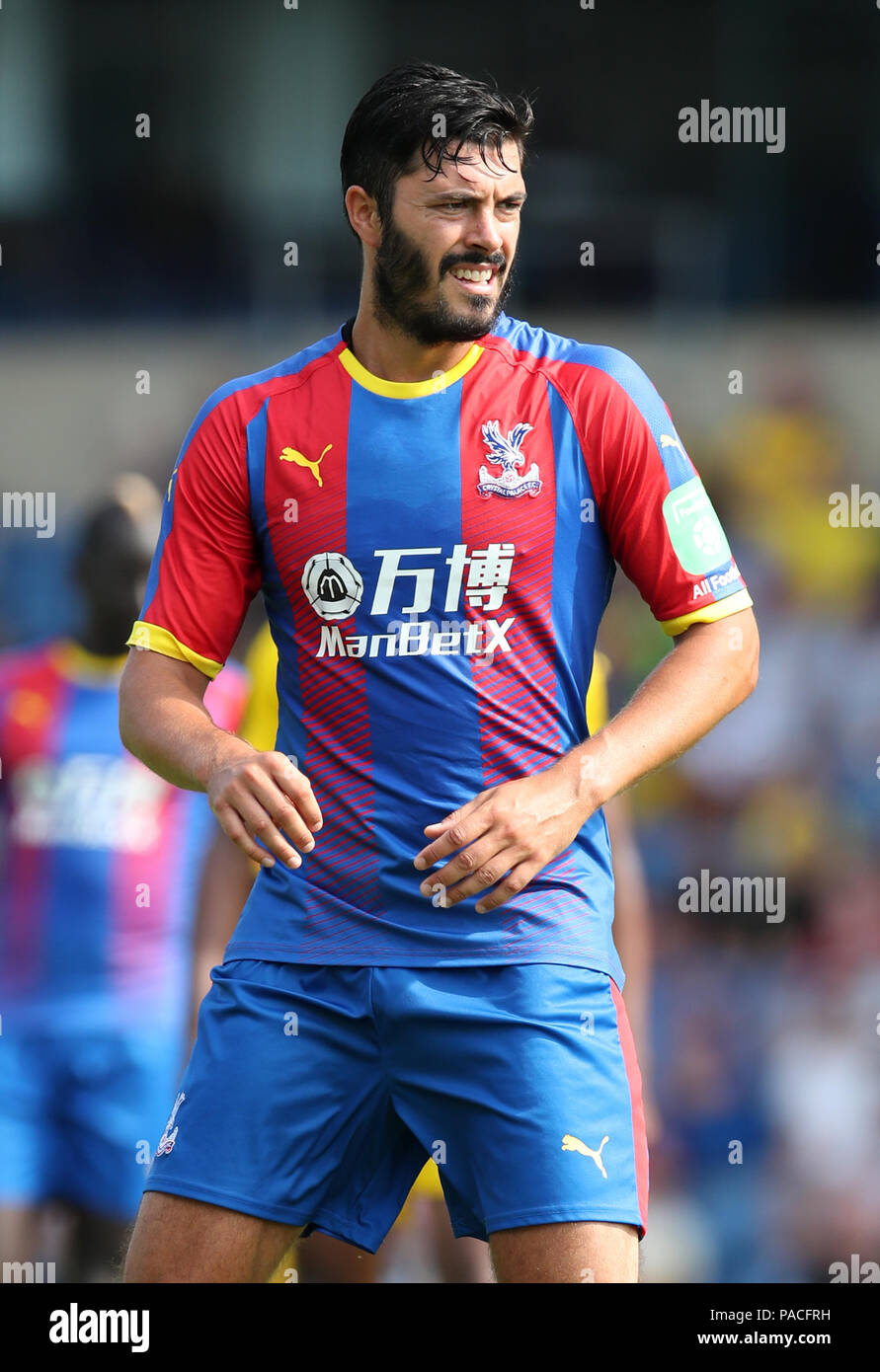 Crystal Palace's James Tomkins during a pre season friendly match at ...