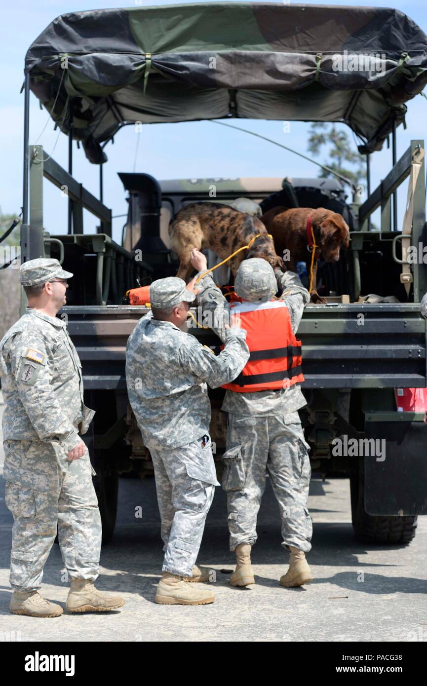 Texas Army National Guard soldiers rescue household pets from severe ...