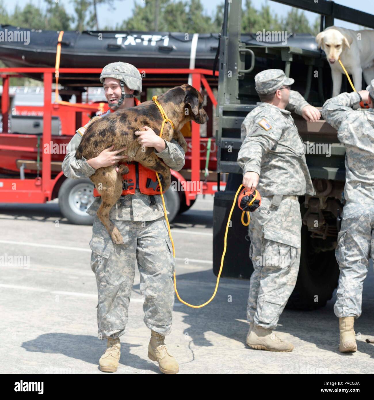 Texas Army National Guard soldiers rescue household pets from severe ...