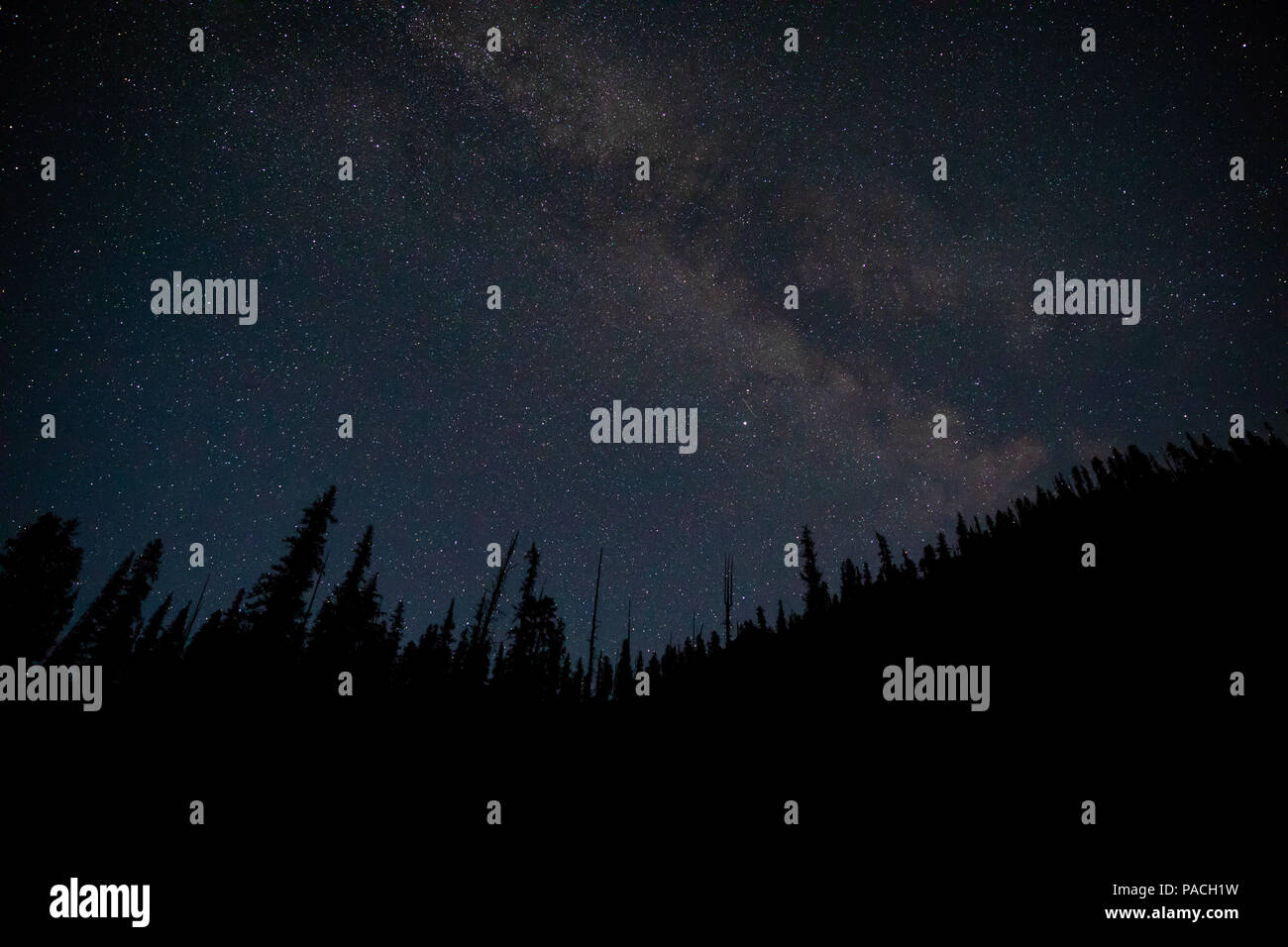 Star filled sky and milky way over trees on the st. joe river in Idaho ...