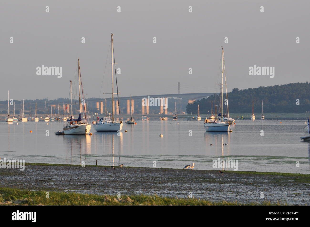 Orwell Bridge on the River Orwell Suffolk, England, UK Stock Photo - Alamy