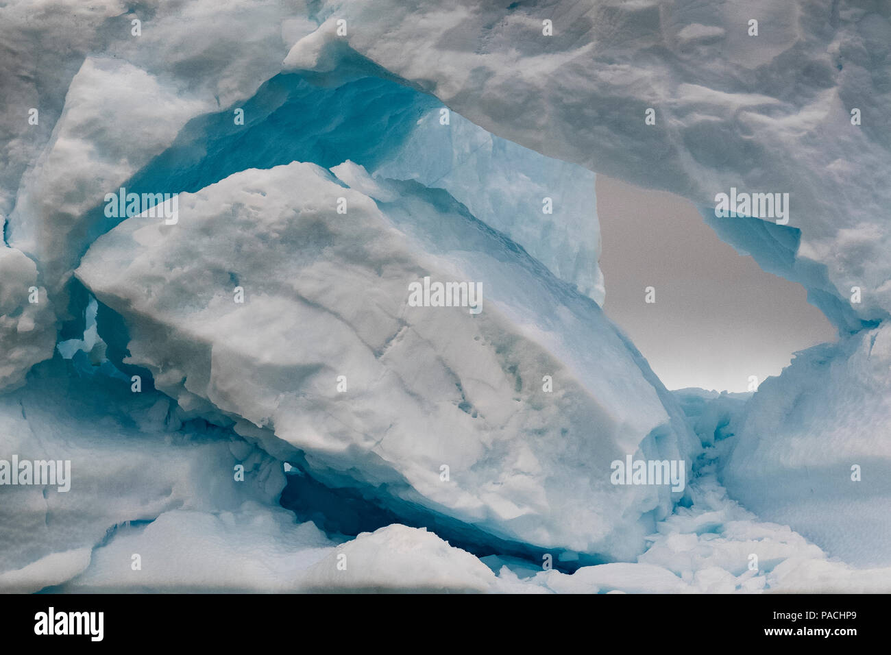 FISH ISLANDS ANTARCTICA Stock Photo - Alamy