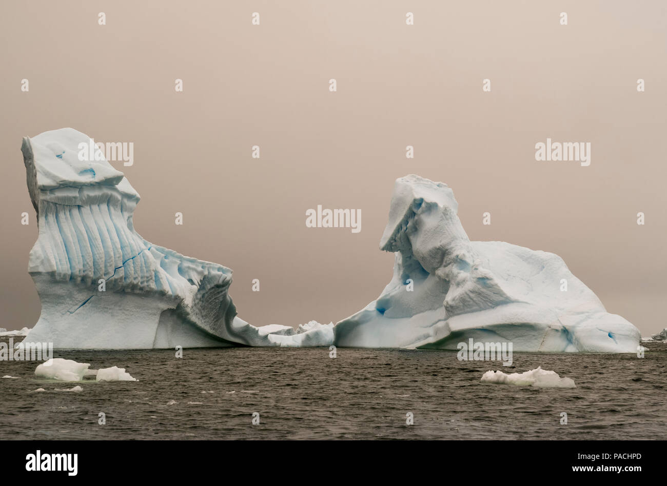 FISH ISLANDS ANTARCTICA Stock Photo - Alamy