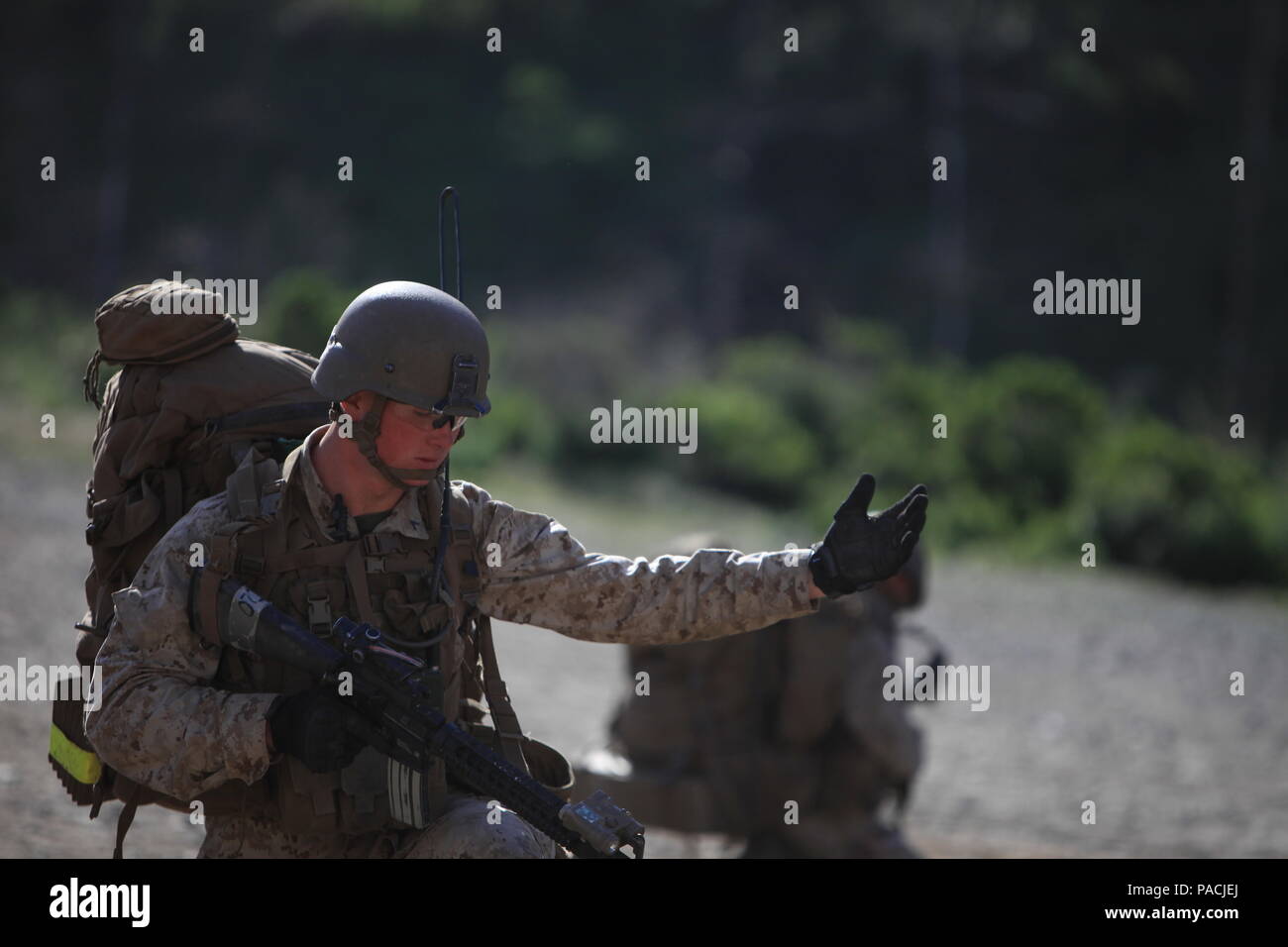 A U.S. Marine with Alpha Company, Infantry Training Battalion (ITB ...