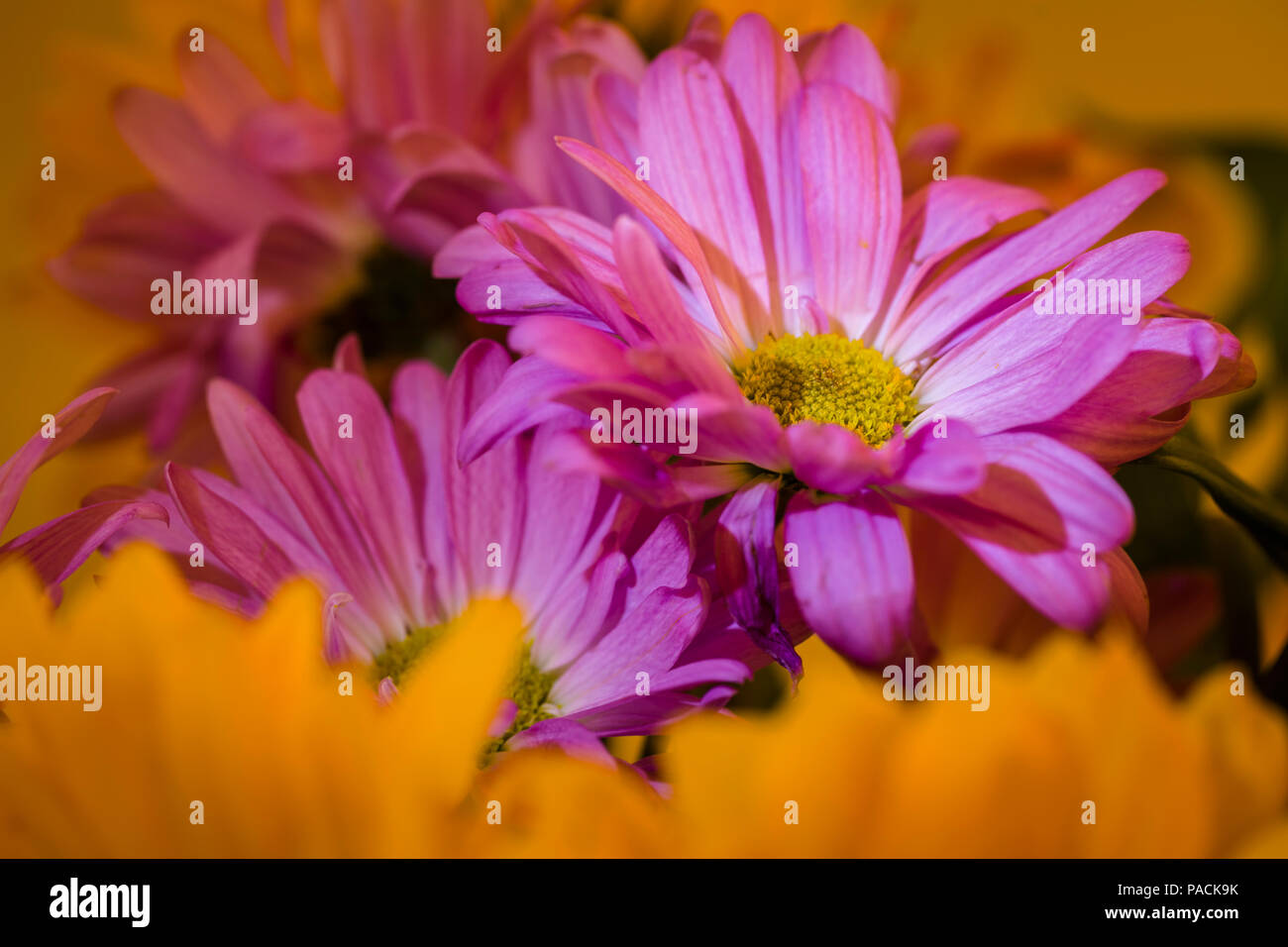 Filling colors hi-res stock photography and images - Alamy