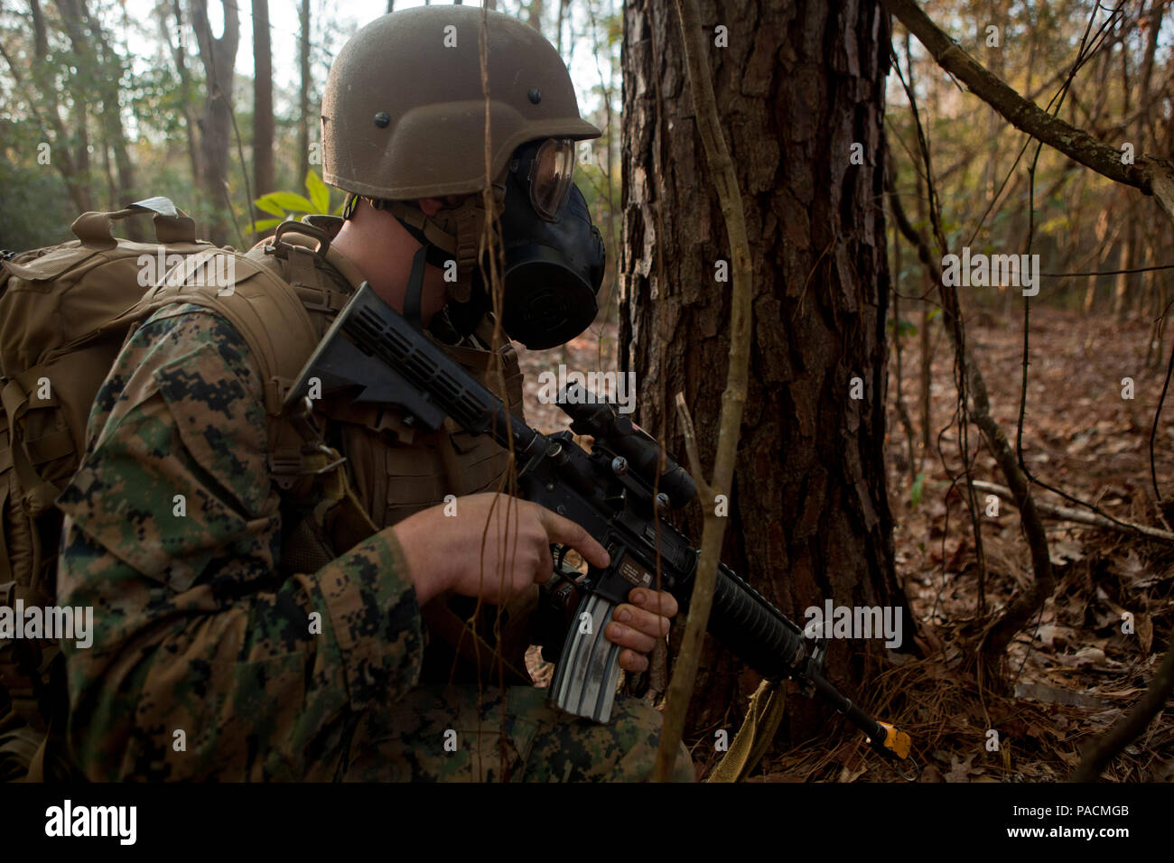 Navy Corpsman High Resolution Stock Photography and Images - Alamy