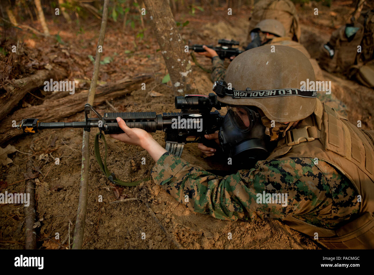 Fmtb east hi-res stock photography and images - Alamy