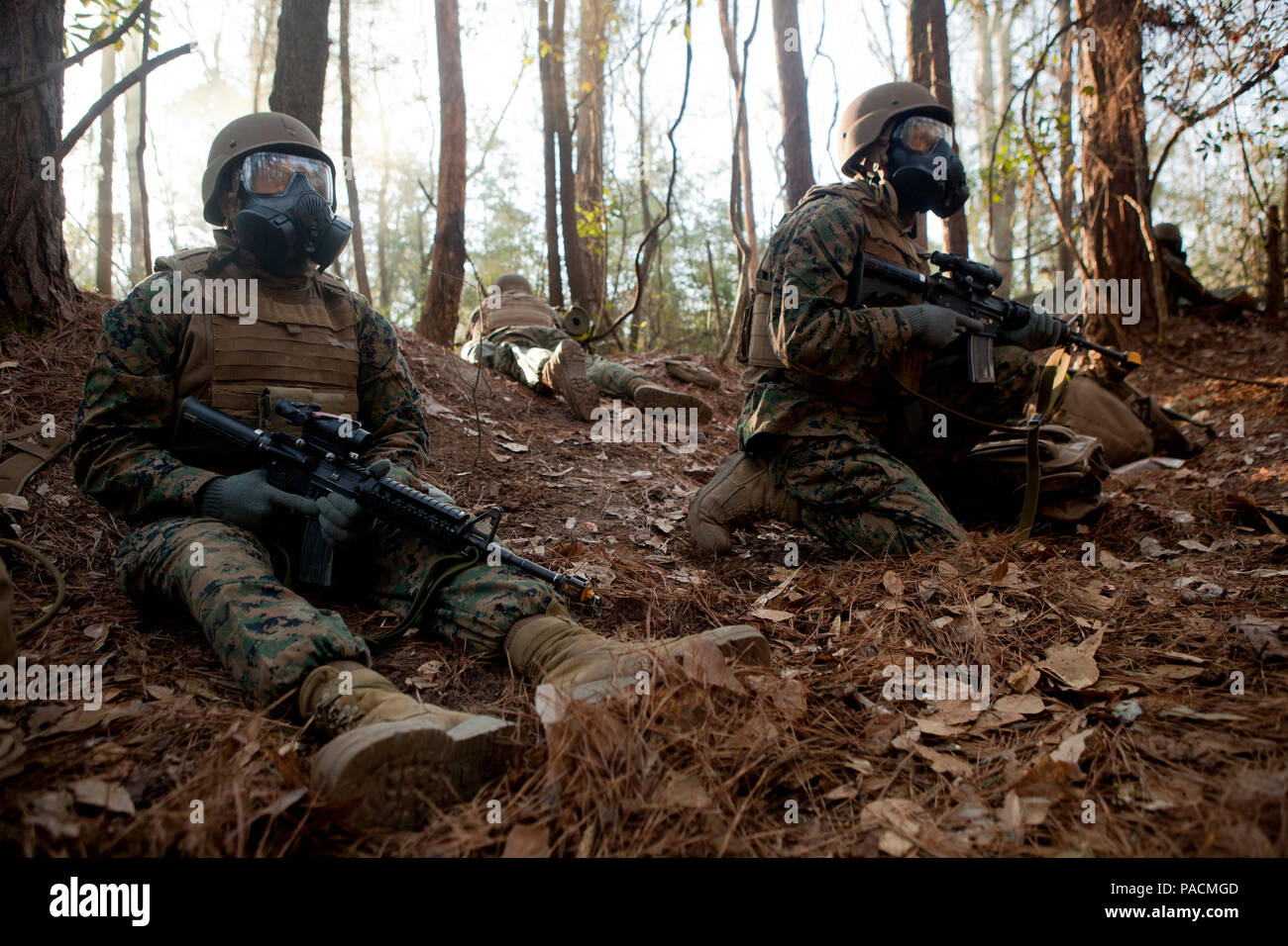 U s navy corpsman assigned field hi-res stock photography and images ...