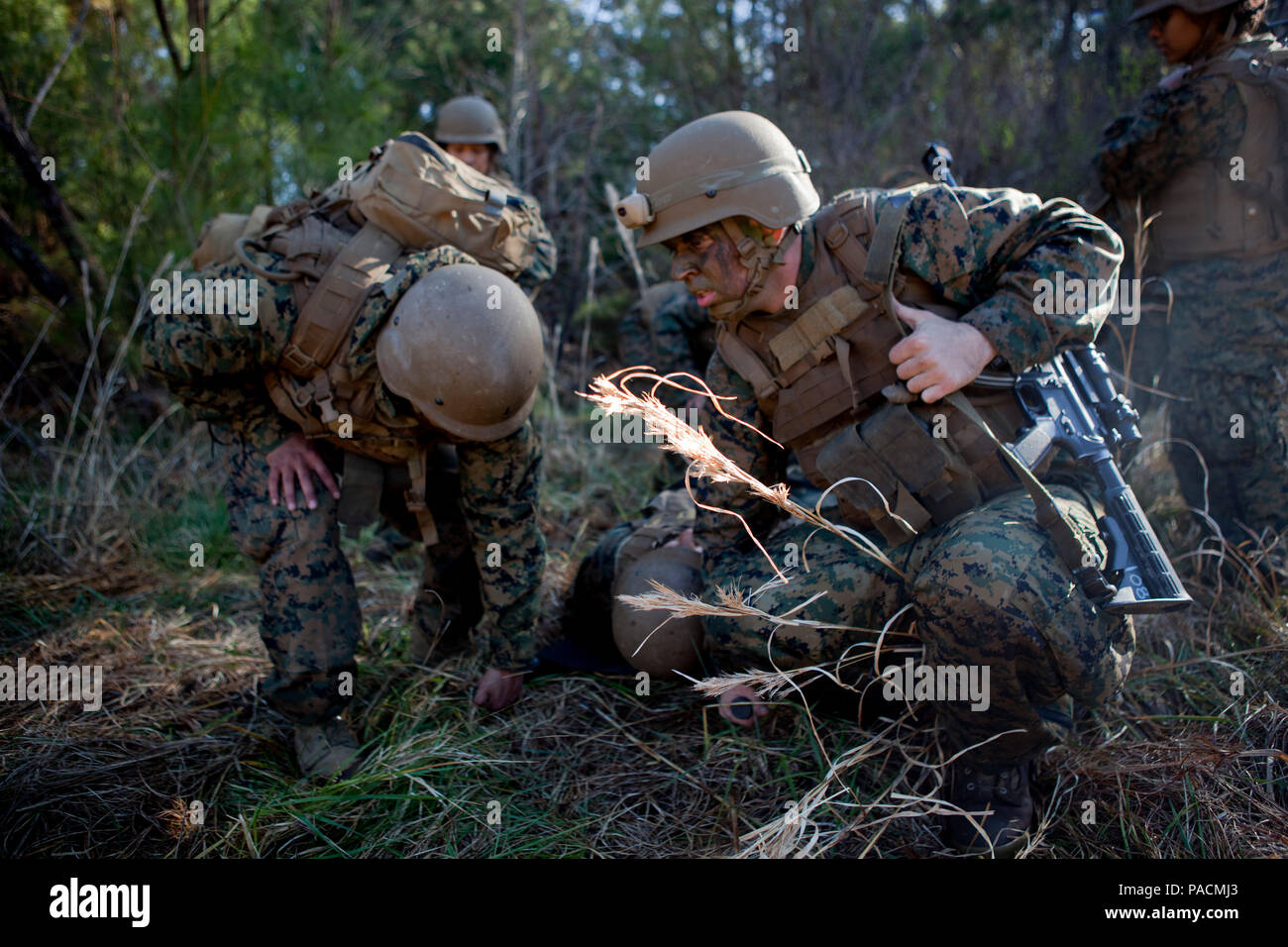 U.S. Navy Corpsmen assigned to Field Medical Training Battalion East ...