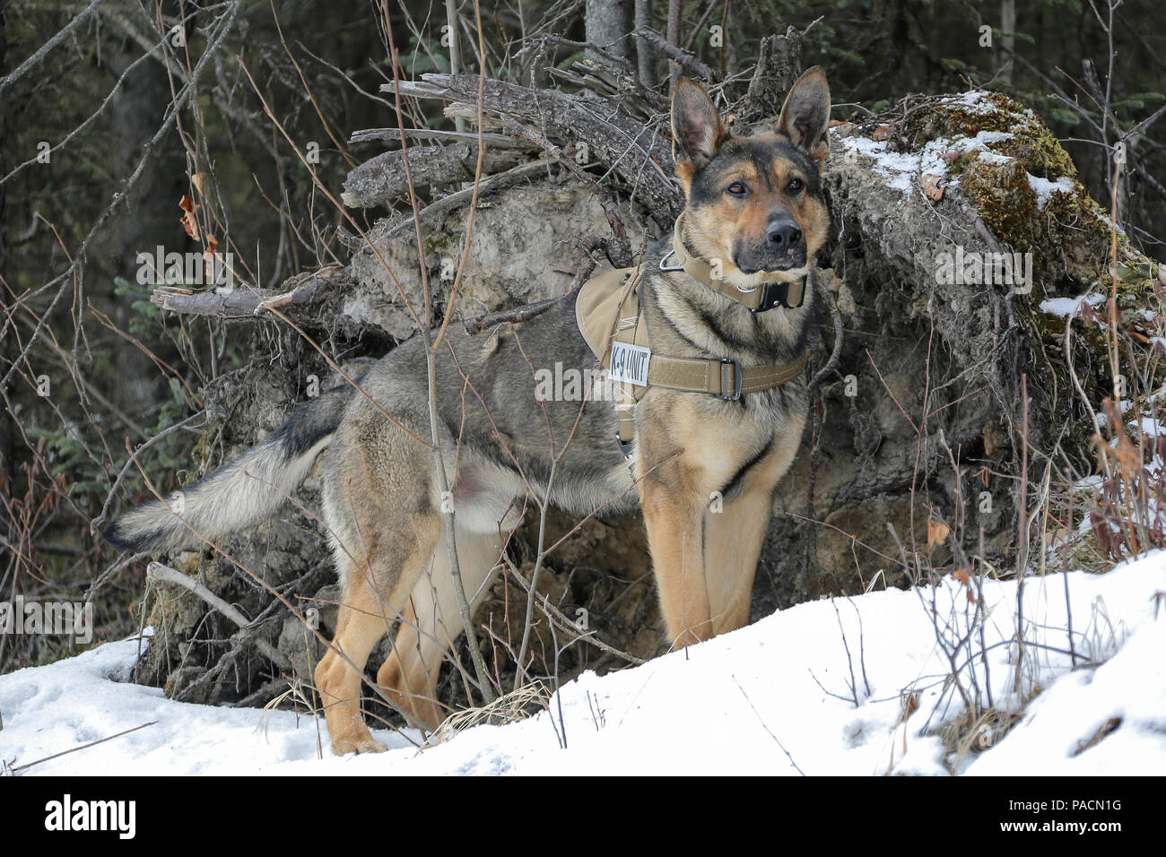 549th military police company hi-res stock photography and images - Alamy