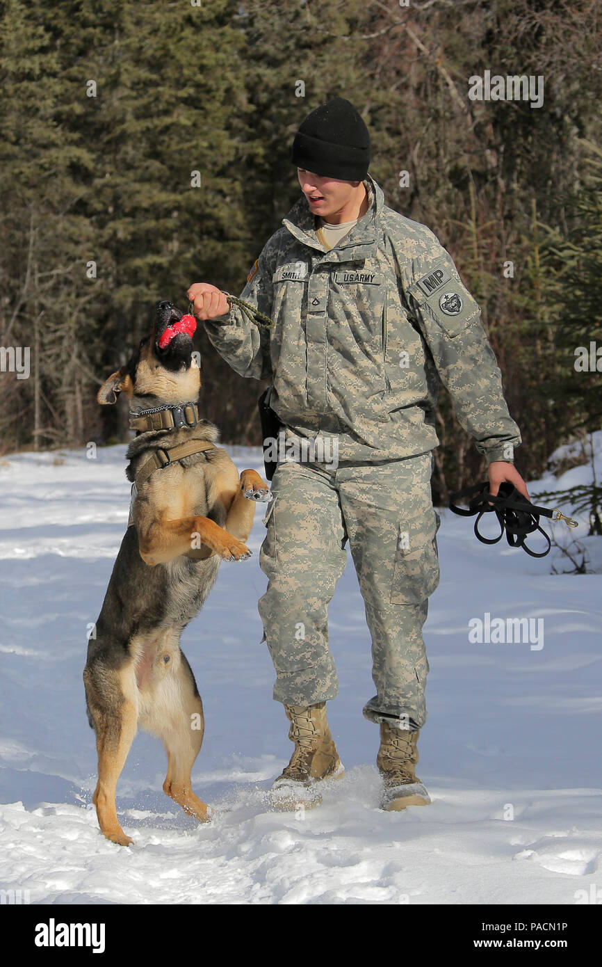 U.S. Army Pfc. Ian Smith encourages military working dog, Faro ...