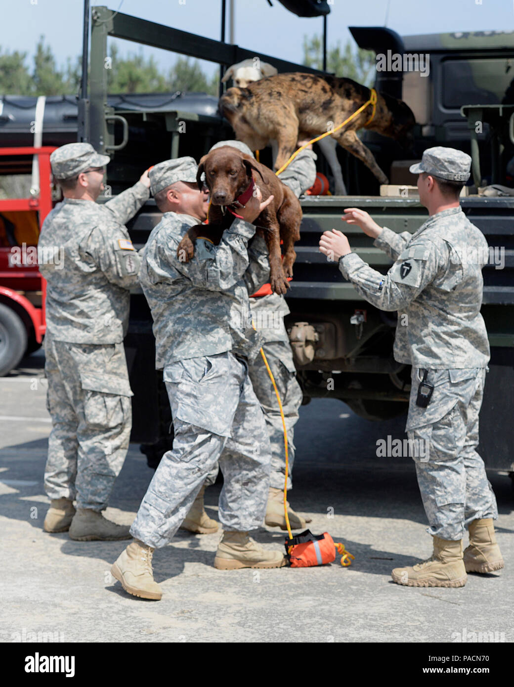 72nd ibct hi-res stock photography and images - Alamy