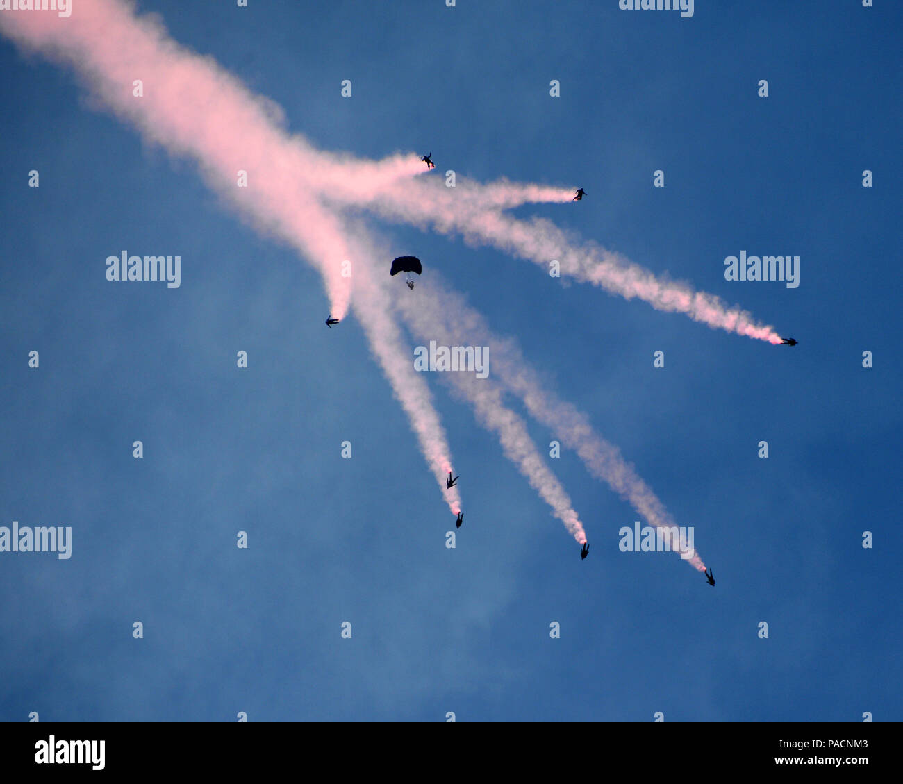 The U.S. Special Operations Command Parachute Team Para-Commandos ...