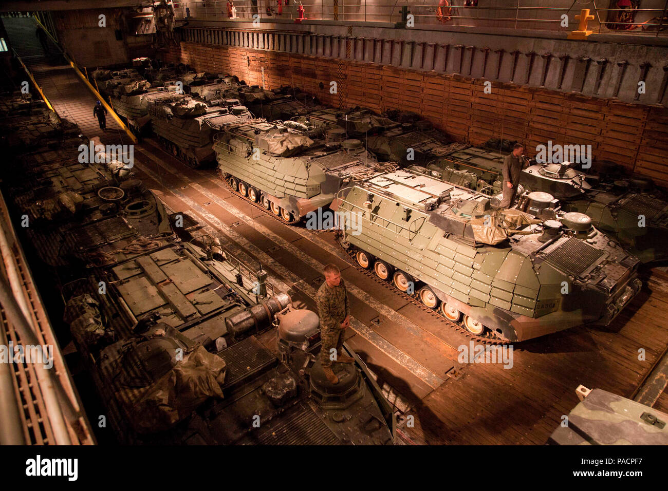 Assault amphibious vehicles assigned to the 22nd Marine Expeditionary ...