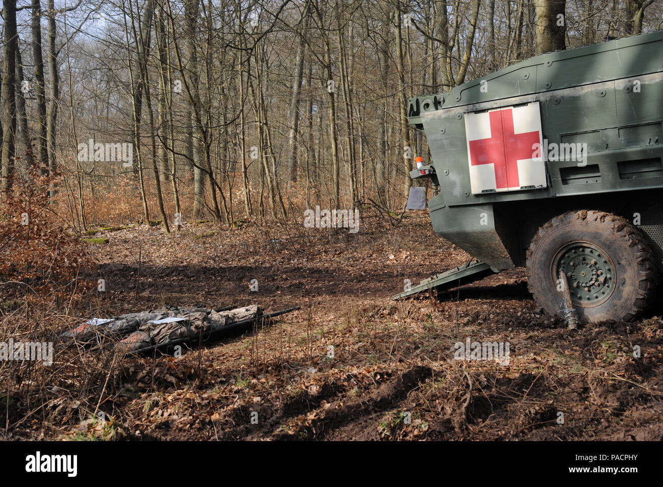 An M1133 Stryker, Medical Evacuation Vehicle of the 2nd Stryker Cavalry ...