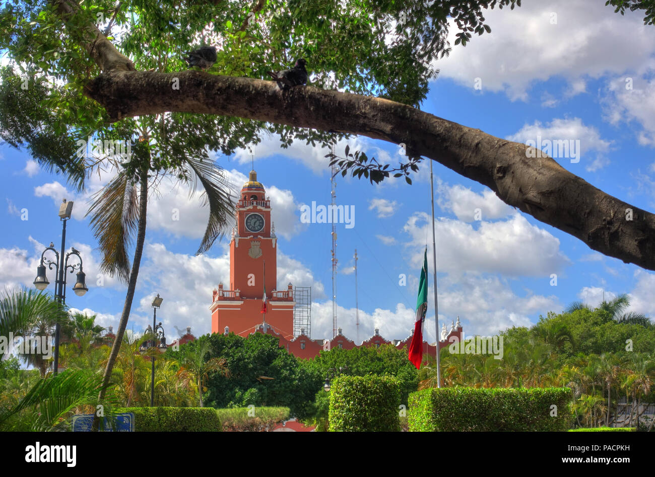 Mérida, Yucatan, Mexico Stock Photo - Alamy