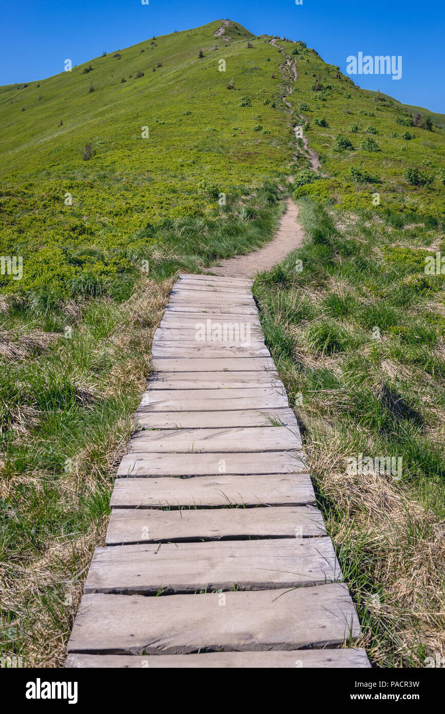 Tourist path to Halicz peak in the Bieszczady Mountains in southern ...