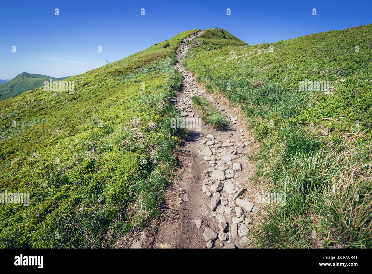 Tourist trail to Halicz peak in the Bieszczady Mountains in southern ...