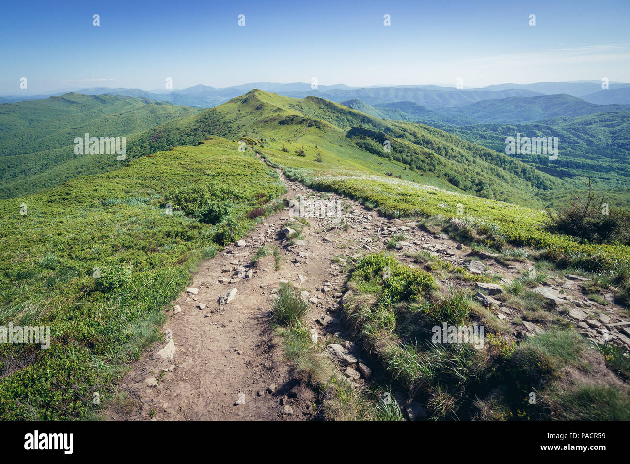 Aerial view from Halicz peak in the Bieszczady Mountains in southern ...