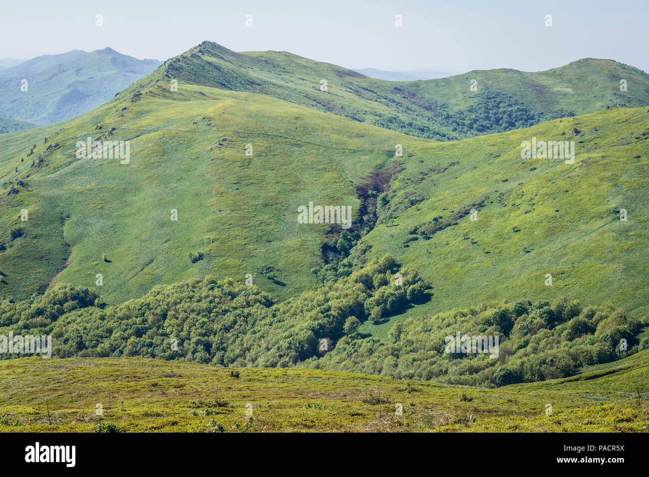 Mountain ridge seen from Halicz peak in the Bieszczady Mountains in ...