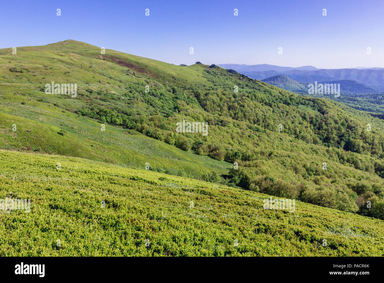 Aerial view in the Bieszczady Mountains in southern Poland, Halicz peak ...