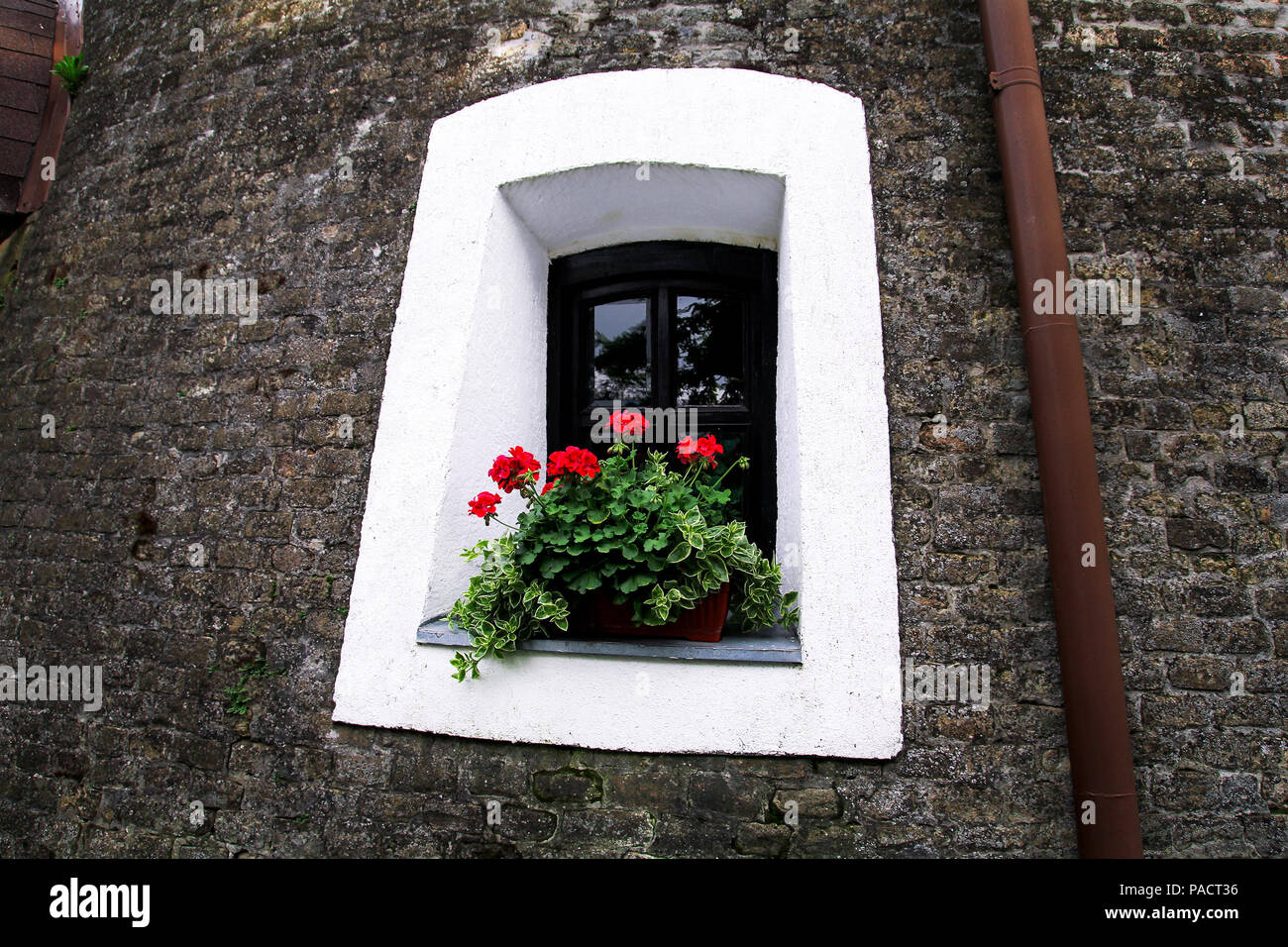 Window with flowers on an old stone farmhouse Stock Photo - Alamy