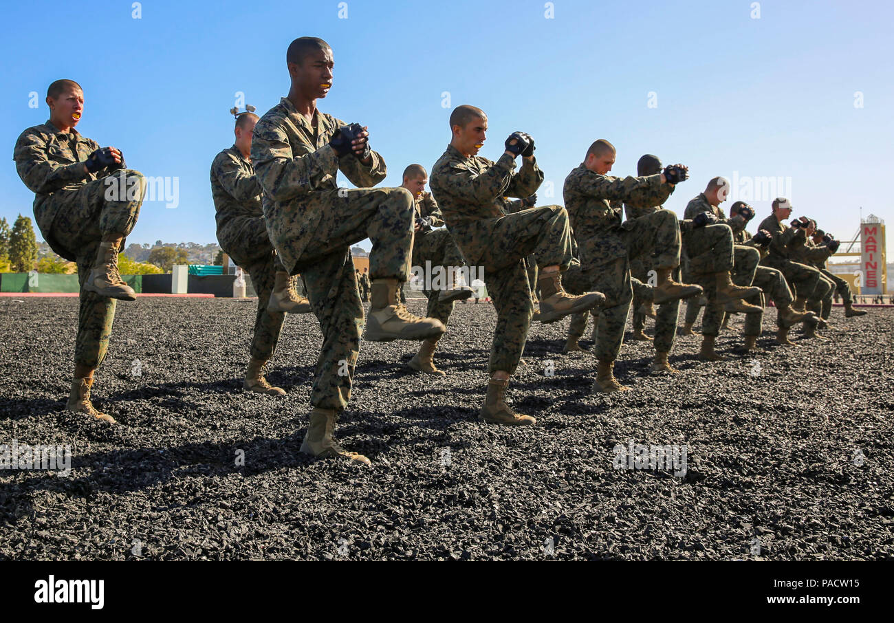 A recruit of Mike Company, 3rd Recruit Training Battalion, conduct knee ...