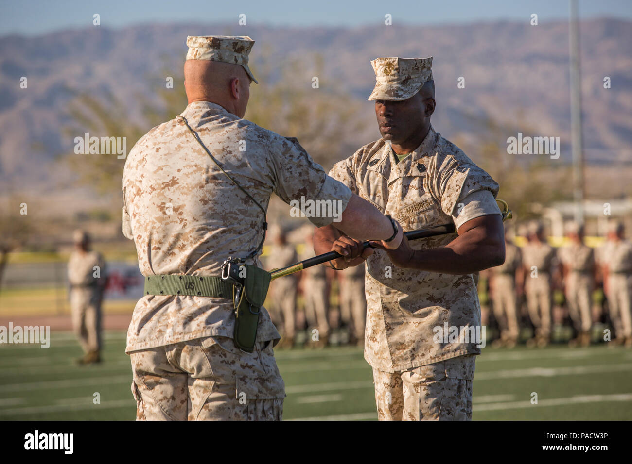 Sgt. Maj. Marcus A. Chestnut, incoming battalion sergeant major ...