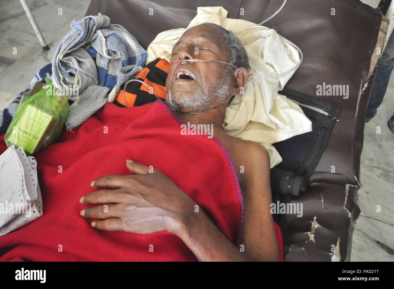 Which causes tuberculosis hi-res stock photography and images - Alamy